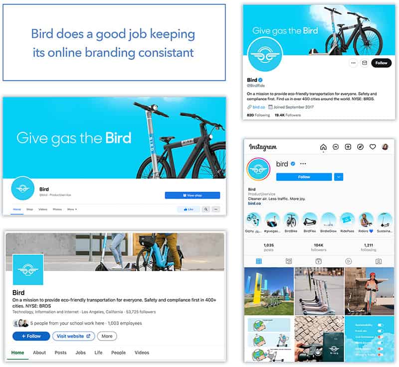 Online Brand Management: Look Good and Build Trust - Teri Ambrose